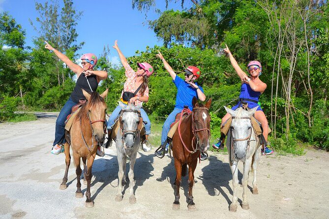 Horseback Riding on the Beach Free Transportation - What Is This Tour All About?