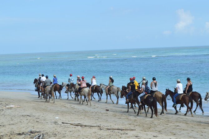 Horseback Riding on the Beach Free Transportation - The Reality: What Do Past Travelers Say?