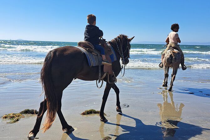 Horseback Riding on the Beach from Ensenada - An In-Depth Look at the Experience