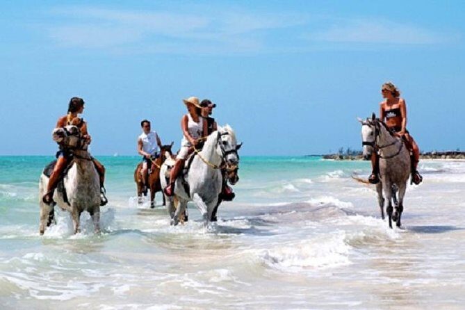 Horseback Riding on the Beach in Punta Cana (One Hour) - The Practical Aspects of Booking and Participation