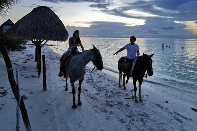 Horseback Riding on the Beaches of Holbox - Evaluating the Cost and Value