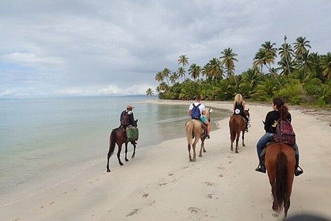 Horseback Riding on the Beaches of Punta Cana - FAQ: Your Questions Answered