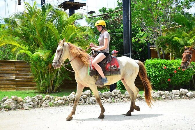 Horseback Riding on the Stunning Beaches of Punta Cana - The Itinerary in Detail