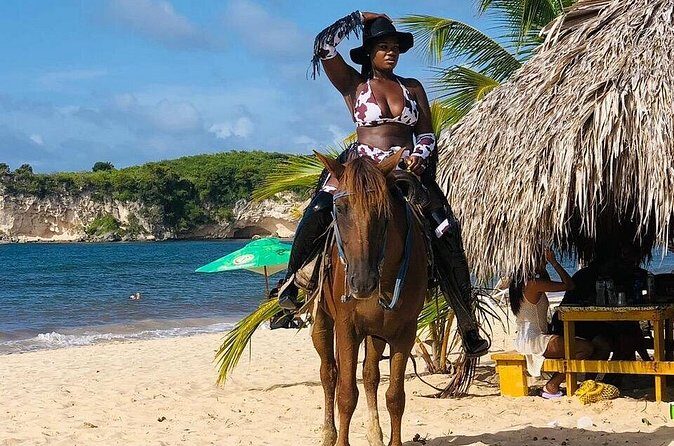 Horseback Riding on the Stunning Beaches of Punta Cana - The Downsides and Considerations
