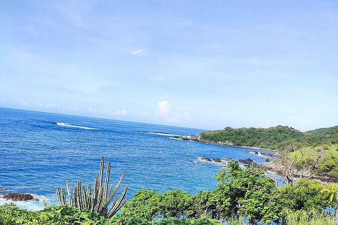 Horseback Riding Playa Larga - An In-Depth Look at the Experience