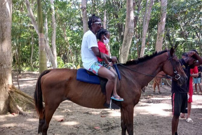 Horseback Riding plus Dunns River Falls Combo Private Tour - Who Will Love This Tour?