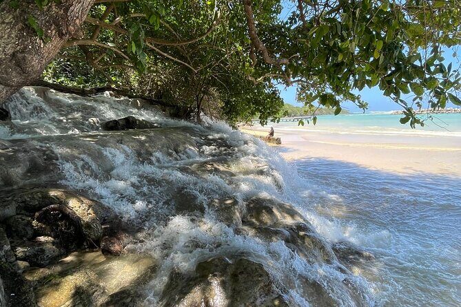 Horseback Riding/Swimming and Dunn's River from Ocho Rios - Who Will Love This Tour?