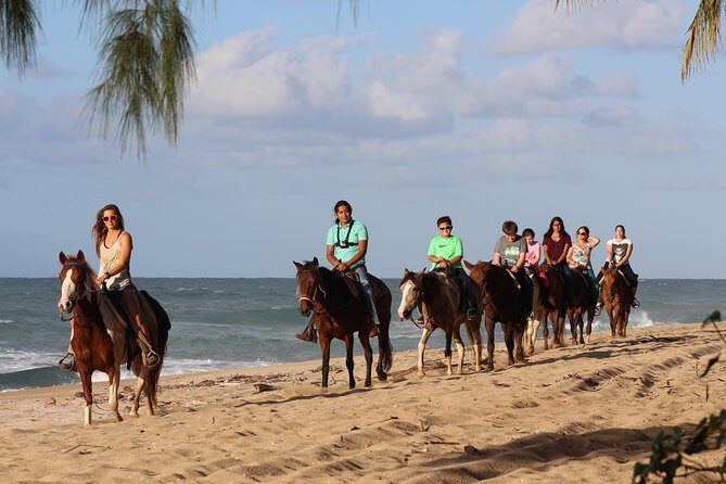 Horseback Riding through Secluded Beaches and Tropical Forests - Key Points