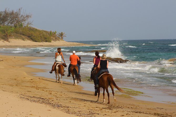 Horseback Riding through Secluded Beaches and Tropical Forests - Who Would Love This Tour?