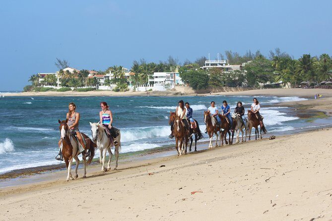 Horseback Riding through Secluded Beaches and Tropical Forests - Final Thoughts: Is It Worth It?