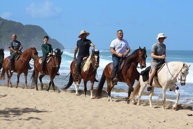 Horseback Riding through Secluded Beaches and Tropical Forests - FAQ