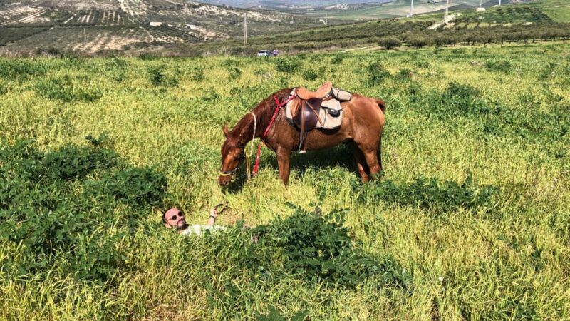 Horseback riding through the olive groves of Sciacca - The Location and Setting