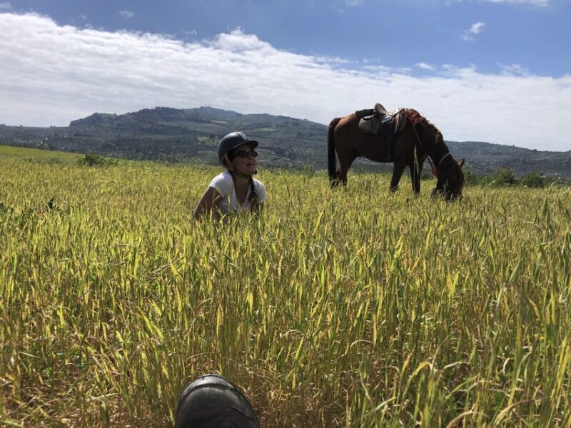 Horseback riding through the olive groves of Sciacca - Practical Details and Tips