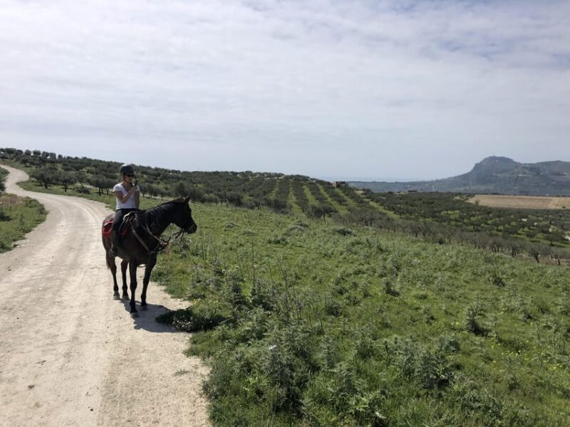 Horseback riding through the olive groves of Sciacca - Authenticity and Other Experiences