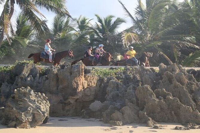 Horseback Riding to Maimon River from Punta Cana - Exploring the Tour Experience