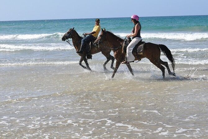 Horseback Riding Tour along the Beaches of Punta Cana - A Scenic Ride Outside the Resorts