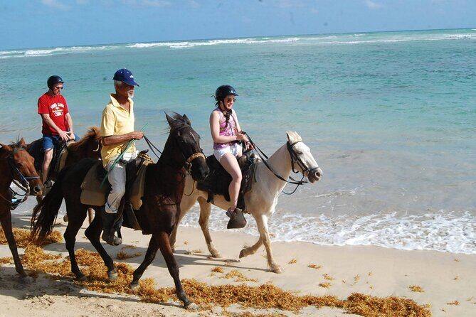 Horseback Riding Tour along the Beaches of Punta Cana - Practical Tips for Your Ride