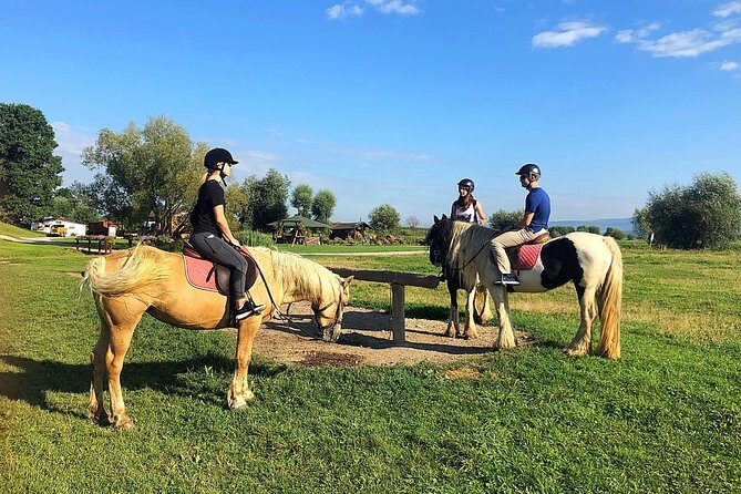 Horseback Riding Tour In Brasov - Ride Through Fields, Forests & Hills - Discover the Charm of a Horseback Riding Tour in Brasov
