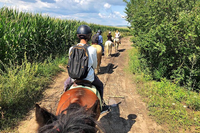Horseback Riding Tour In Brasov - Ride Through Fields, Forests & Hills - Practical Tips for Travelers