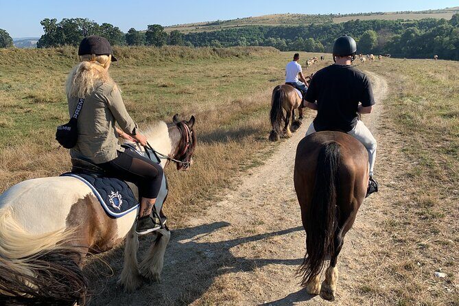 Horseback Riding Tour In Brasov - Ride Through Fields, Forests & Hills - Who Will Enjoy This Tour?