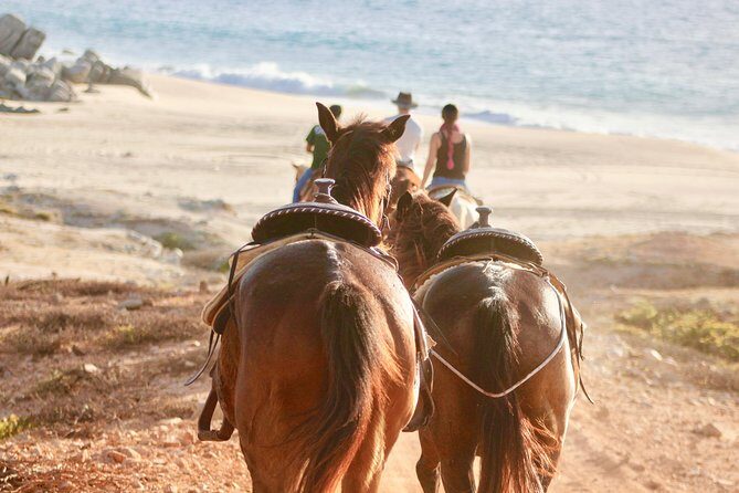 Horseback Riding Tour in Cabo San Lucas - Exploring the Experience: What to Expect