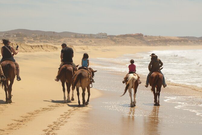 Horseback Riding Tour in Cabo San Lucas - Practical Tips for Travelers