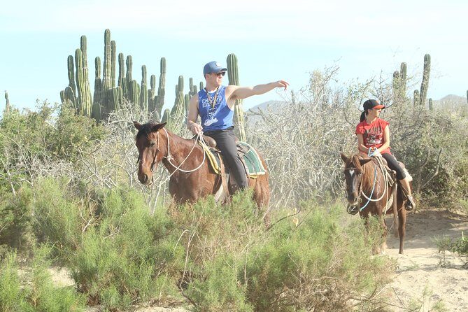 Horseback Riding Tour in Cabo San Lucas - In The Sum Up: Who Should Consider This Tour?