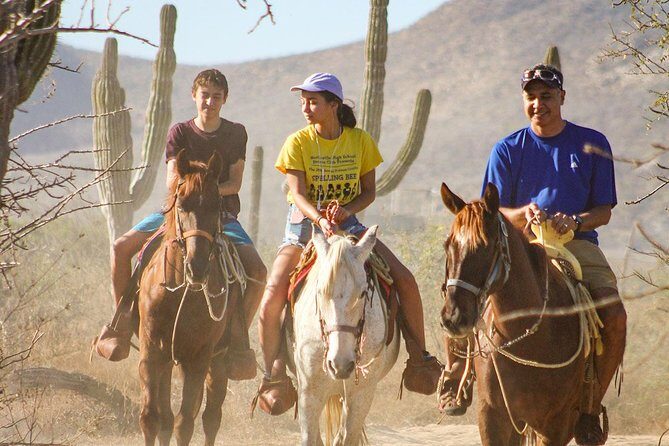 Horseback Riding Tour in Los Cabos - Horseback Riding Tour in Los Cabos: A Complete Guide for Adventurous Travelers