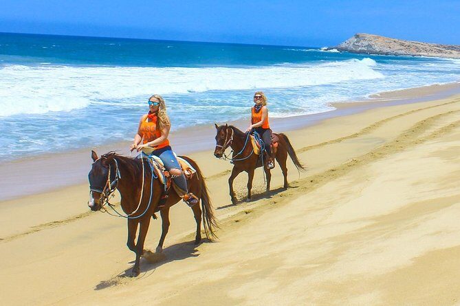 Horseback Riding Tour in Los Cabos - Logistics and Practicalities