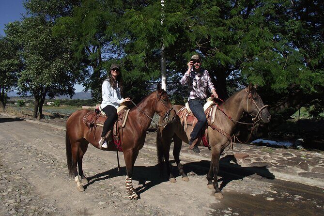 Horseback Riding Tour in The Agave Field with Lunch - Exploring the Tour Itinerary in Detail