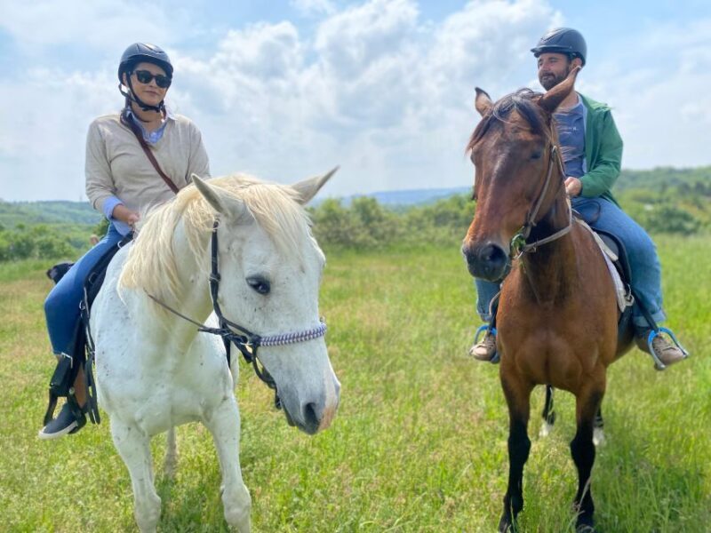 Horseback riding tour near Prague - Why It’s Worth Considering