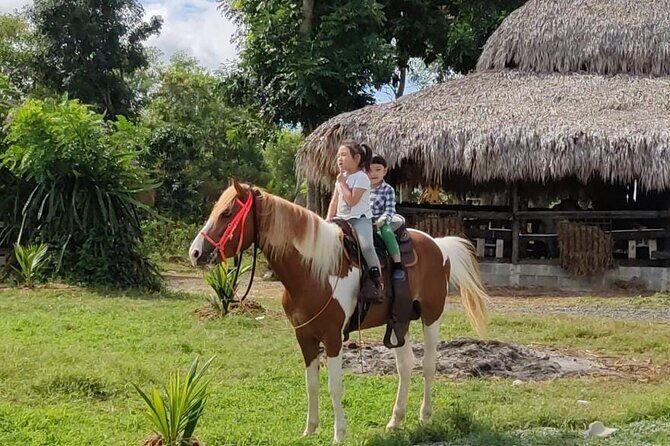 Horseback Riding tour near Santo Domingo with pick up and dropoff - The Experience in Detail