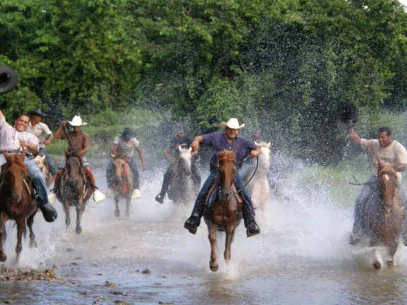 Horseback Riding Tour of Punta Cana - An In-Depth Look at the Horseback Riding Tour of Punta Cana