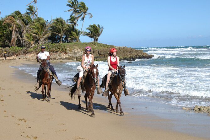 Horseback Riding Tour on the Beaches of Punta Cana - Key Points