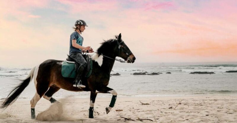 Horseback Riding Tour - An Introduction to the Experience