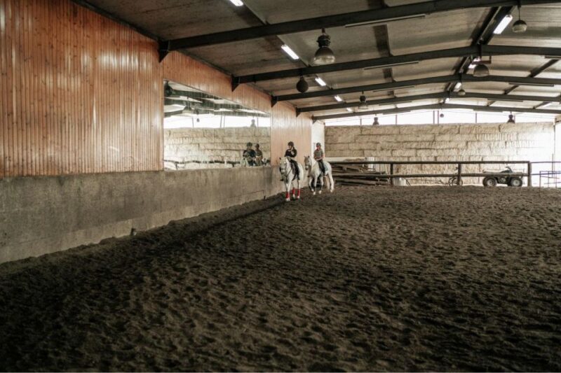 Horseback Riding Tour - The Value and What It Means for Travelers