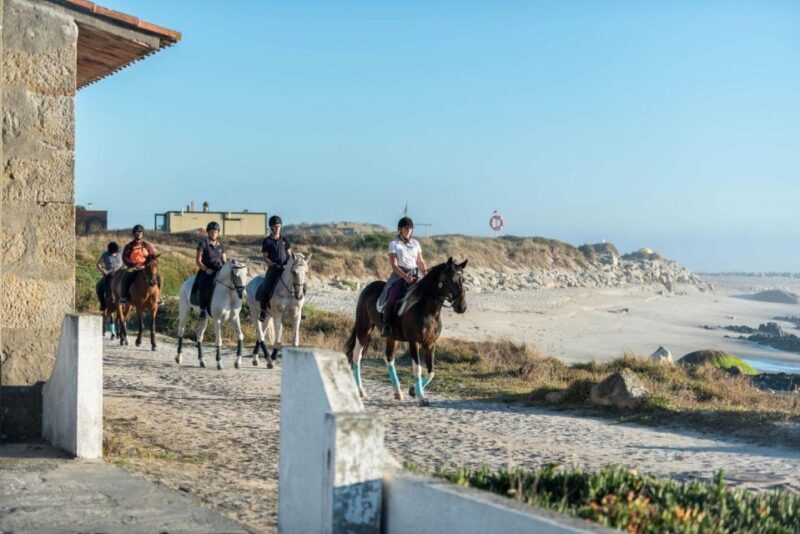 Horseback Riding Tour - Authentic Experiences and Authenticity