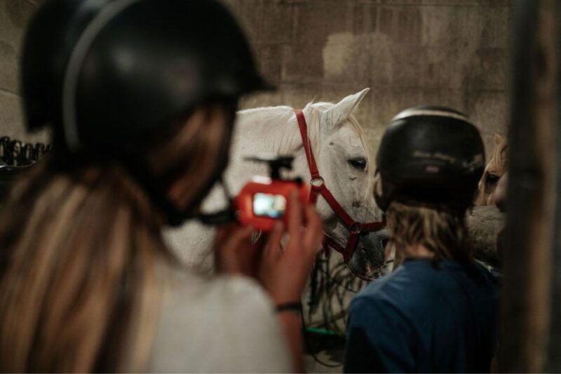 Horseback Riding Tour - Practical Considerations for Travelers