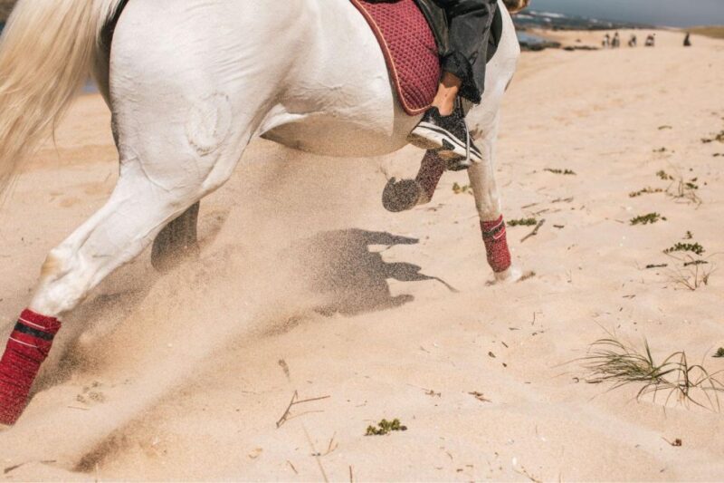 Horseback Riding Tour - Authentic Feedback from Past Participants