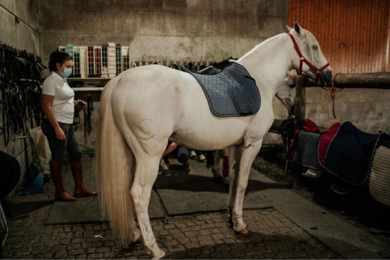 Horseback Riding Tour - Frequently Asked Questions