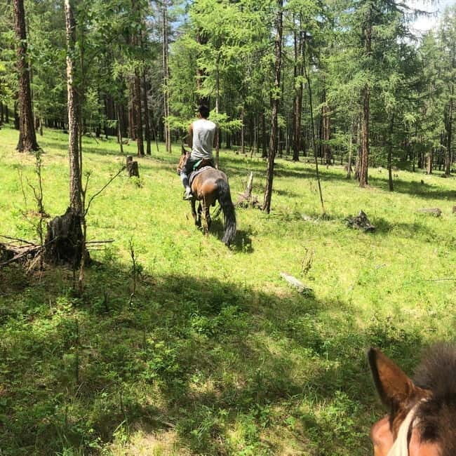 Horseback Riding Tour to Turtle Rock & Aryabal - Key Points