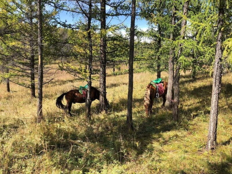 Horseback Riding Tour to Turtle Rock & Aryabal - An In-Depth Look at the Tour Experience