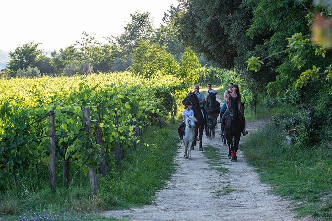 Horseback Riding Tour with Tuscan Picnic in Val d'Orcia and Valdichiana - Exploring the Tour in Detail: What You Can Expect
