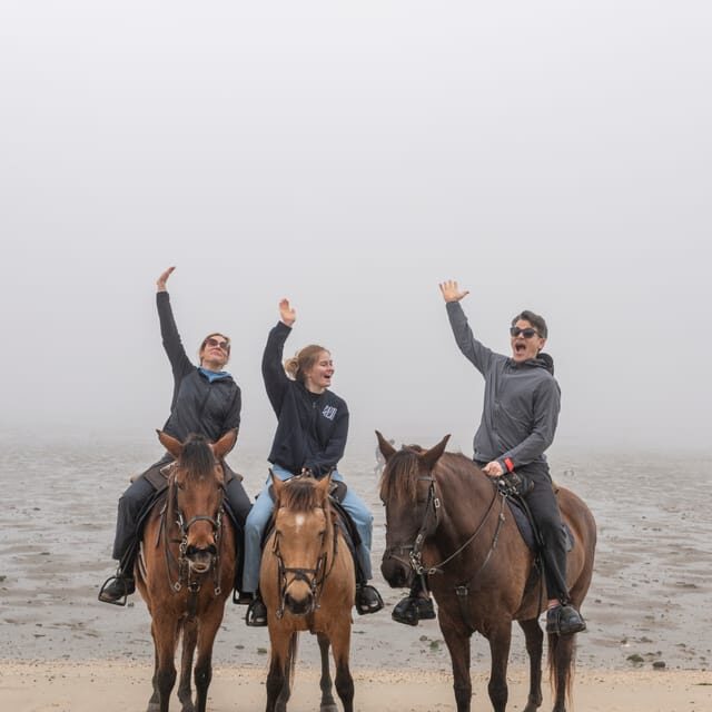 Horseback Riding Trough The Beach GROUP - PDT - Discover the Joy of Horseback Riding on the Portuguese Beach