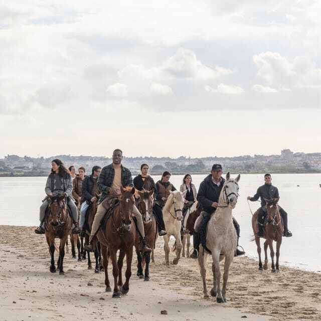 Horseback Riding Trough The Beach GROUP - PDT - The Horses and Guides: Why They Matter
