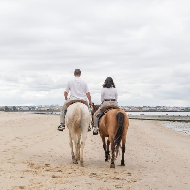 Horseback Riding Trough The Beach GROUP - PDT - What You Need to Know Before Booking