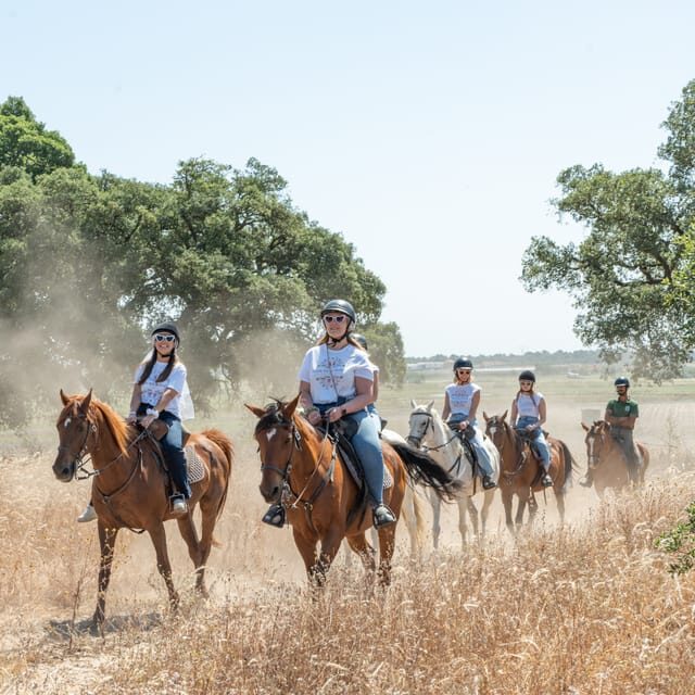 Horseback Riding Trough The Beach GROUP - PDT - The Authentic Experience: Beyond the Ride