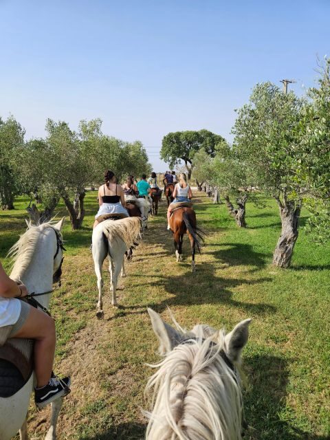 Horseback Riding Trough The Beach GROUP - PDT - Final Thoughts