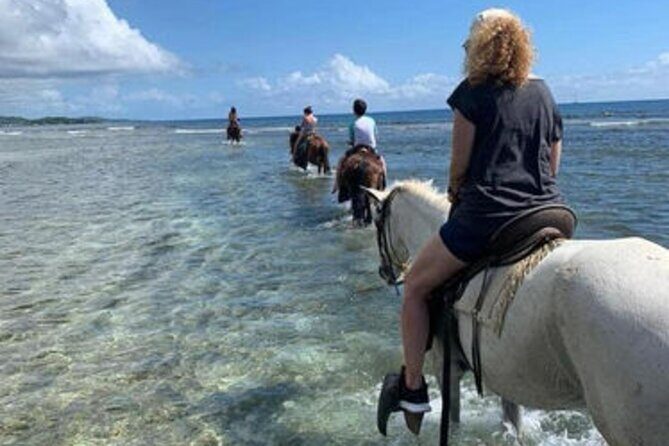 Horseback Riding trough The Countryside & Beach at Puerto Plata - Who Is This Tour Best For?