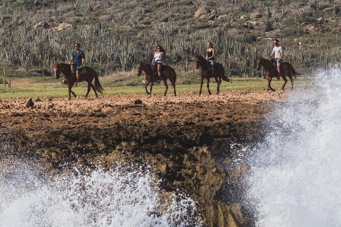 Horseback Riding Wariruri Beach Tour in Aruba - The Sum Up: Who Is This Tour Best For?